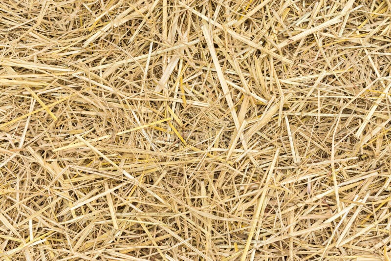 Straw background stock image. Image of pattern, background - 64918323