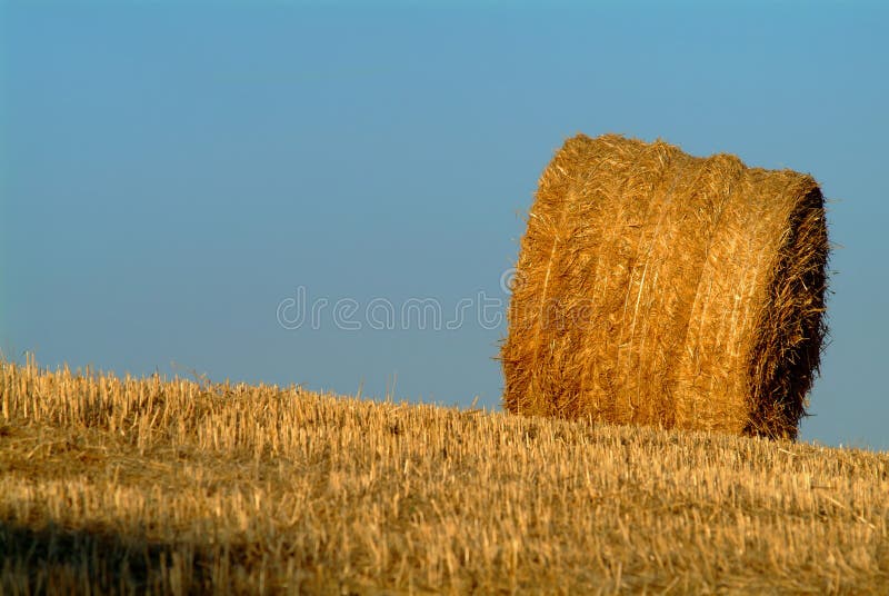 Straw bale stock photo. Image of meadow, bale, outdoor - 1515716