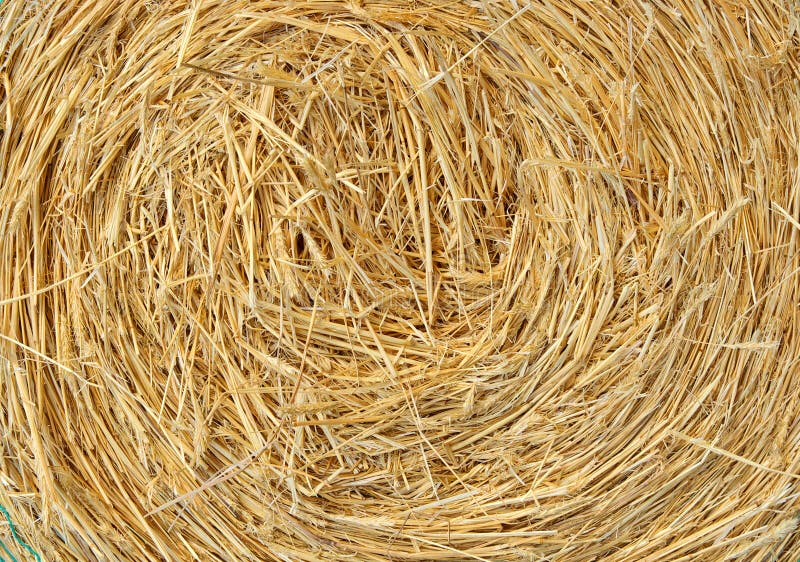 Cowboy Farmer Straw Hat on Hay Bale Over White Stock Photo - Image of ...