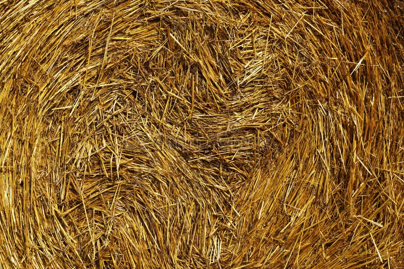 Straw Bale in the (background) Stock Image - Image of brown, barn: 46007297
