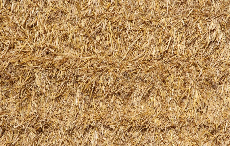Straw bale, background stock photo. Image of summer, sunlight - 99959624