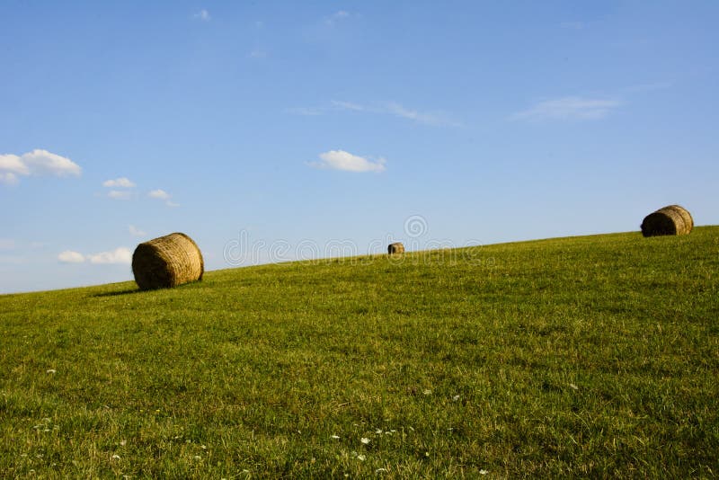 Straw bale on field stock photo. Image of farming, straw - 59605692