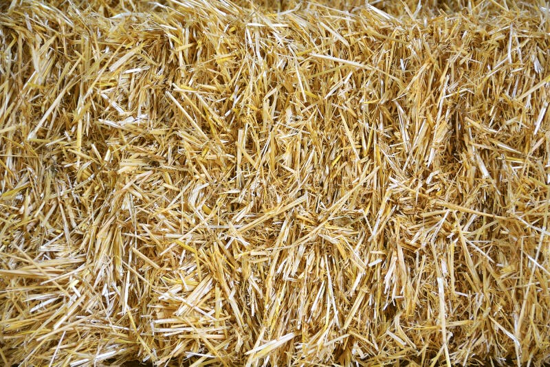 Straw Bale Forming a Pile in an Old Barn of a Farm. Rural Background ...