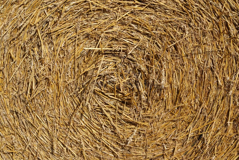 Straw Bale Texture stock image. Image of close, background - 10828293
