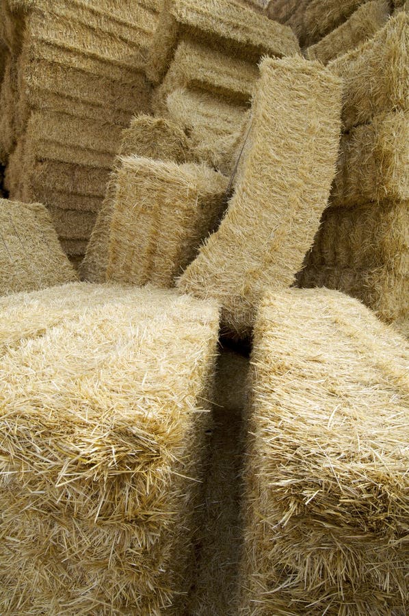 Straw bales stock photo. Image of harvest, golden, grow - 16872730