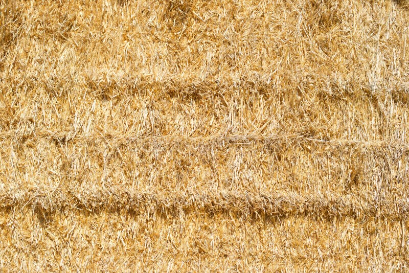Straw bales background stock image. Image of harvest - 218417695