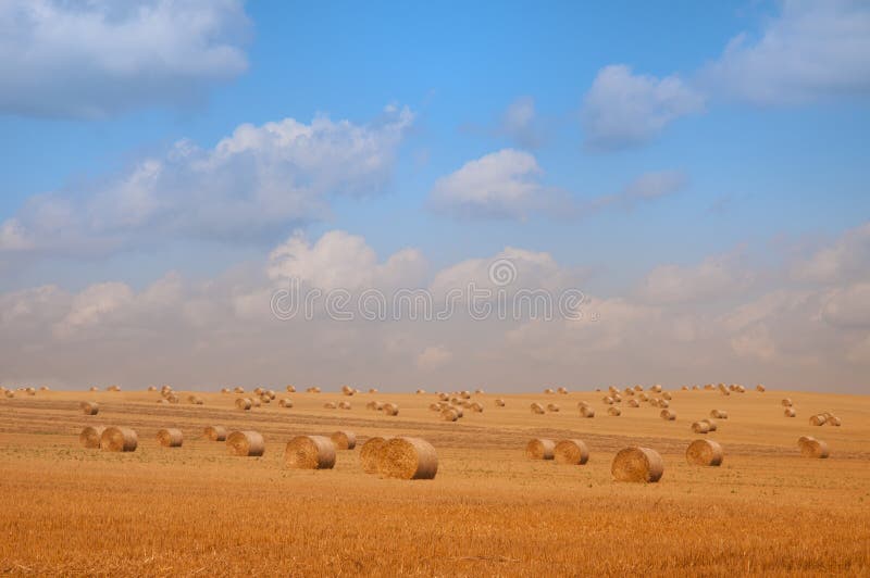 Farmland stock photo. Image of farm, mountains, rolled - 1051920