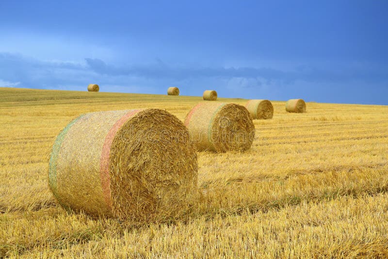 Straw bales stock image. Image of agricultural, landscape - 43482661