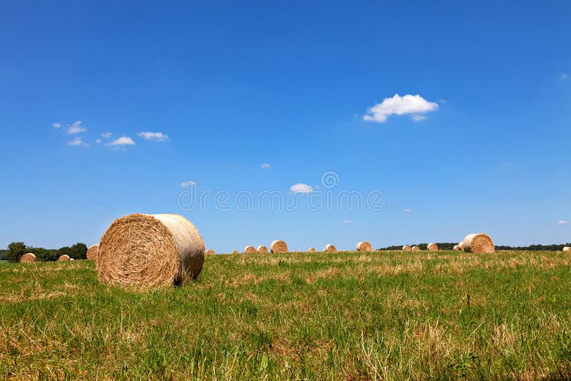 Straw Bales on a field stock image. Image of bundle, rural - 32908305