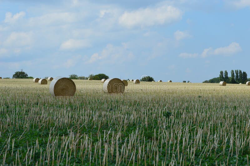Straw Bales in a Field in the Role Stock Image - Image of blue, coin ...