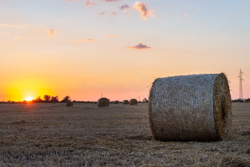 Straw Bales in the Field during Sunset Stock Image - Image of growth ...