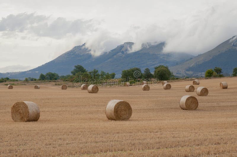 Straw Bales in the Fields. Farmland Stock Photo - Image of meadow ...
