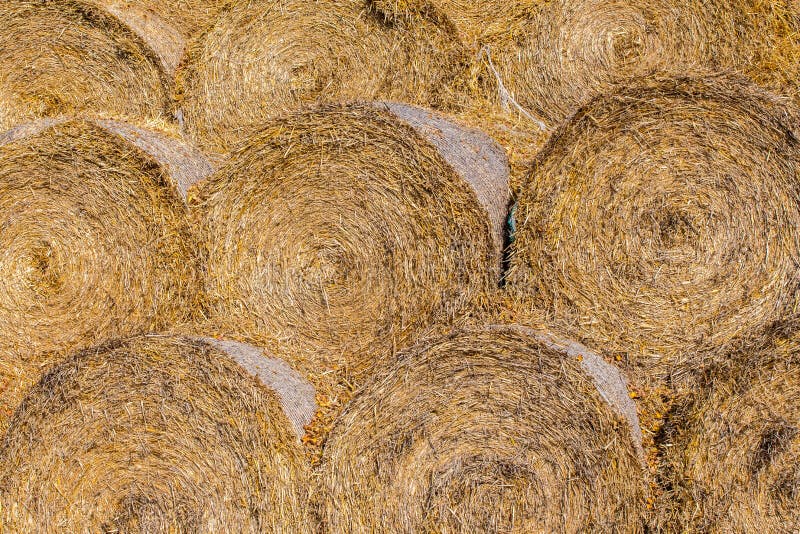 Straw bales stock image. Image of corn, farm, bales, barley - 47587925