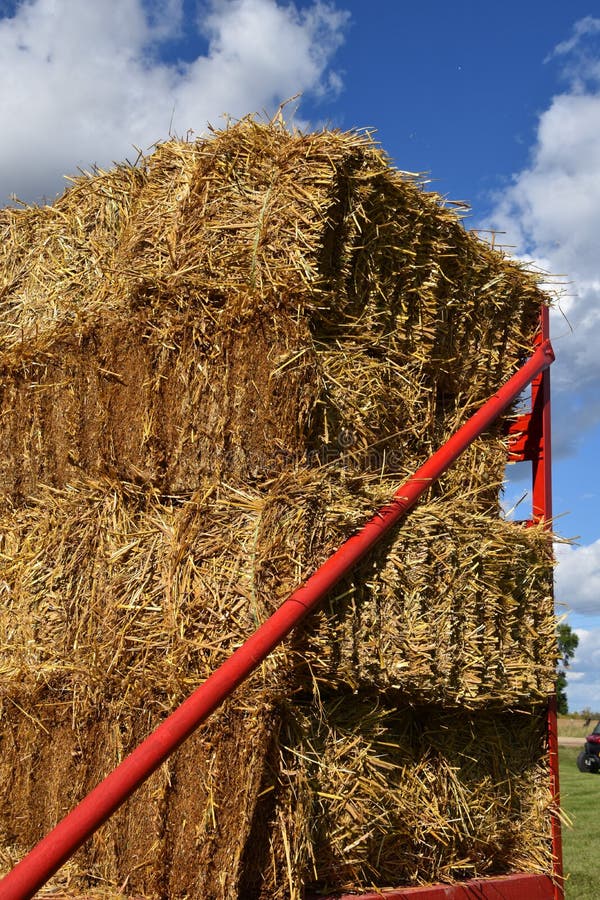 Straw Bales Have Been Loaded on a Hay Rack. Stock Photo - Image of ...
