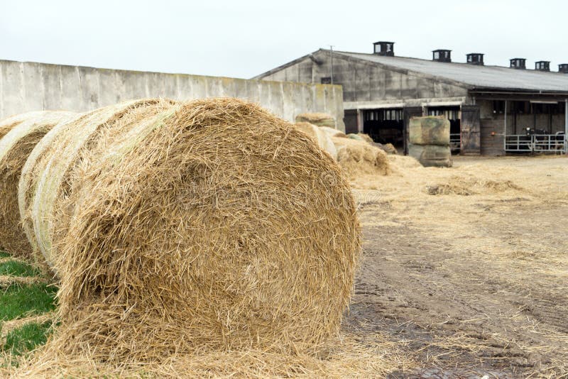 Straw Bales stock photo. Image of farmland, summer, time - 85530288