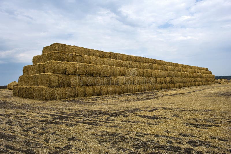 263 Hay Bales Pyramid Stock Photos - Free & Royalty-Free Stock Photos ...
