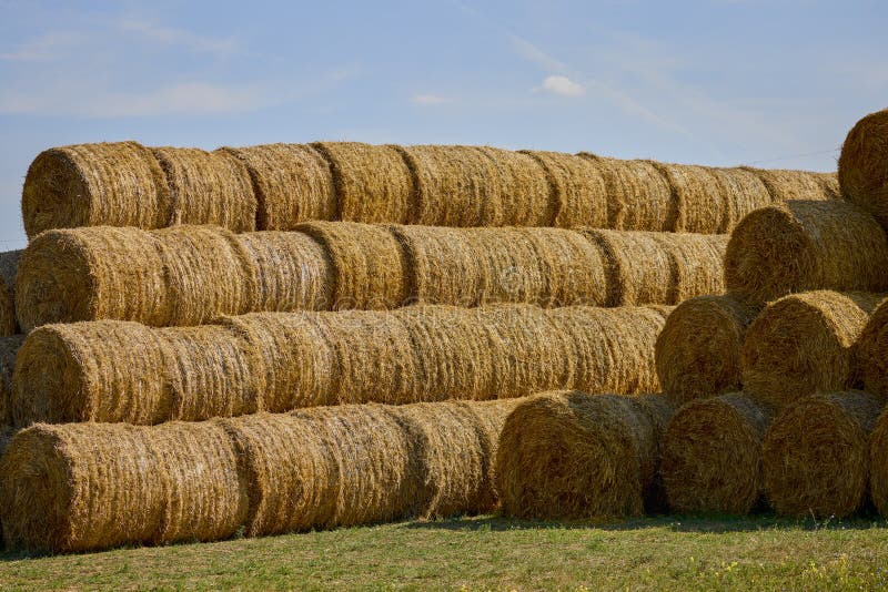 Straw bales stored stock image. Image of autumn, rural - 321631117