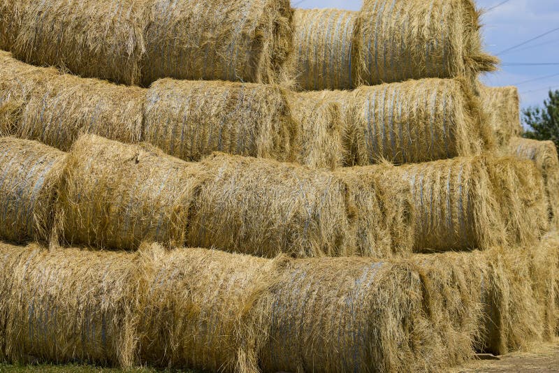 Straw bales stored stock image. Image of autumn, rural - 321631117