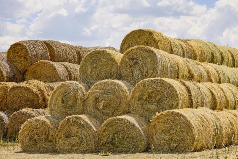 Straw bales stored stock photo. Image of farm, season - 321631206