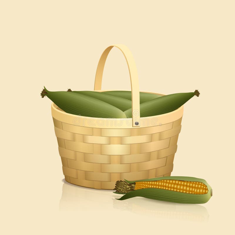 Straw Basket with a Handle and Reflection Stock Vector - Illustration ...