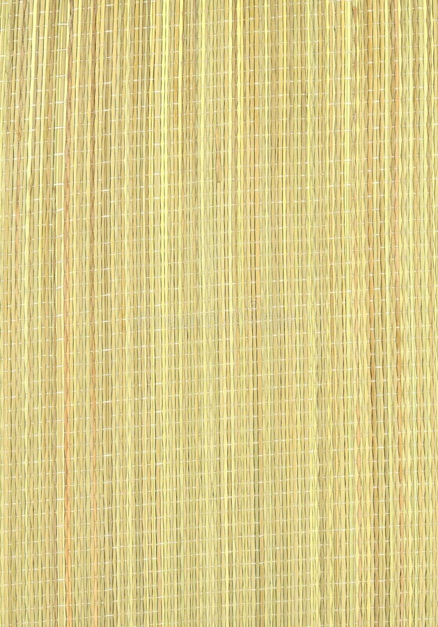 Straw Beach Umbrellas on the Background of the Sea and Blue Sky Stock ...