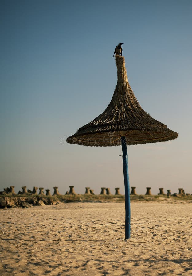 Straw beach umbrella stock image. Image of beach, straw - 33616133