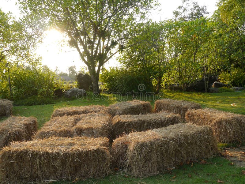 Straw Bench stock image. Image of agriculture, comfortable - 68731275