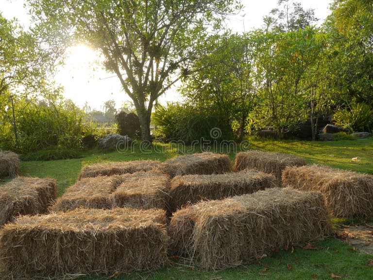 Straw Bench stock image. Image of agriculture, comfortable - 68731275