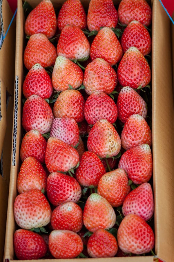 Straw Berry is Packed in a Box Stock Image - Image of breakfast ...