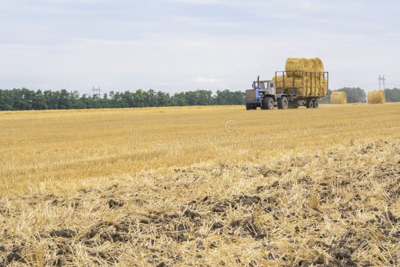 Straw stock image. Image of landscapes, industry, horizon - 43163831