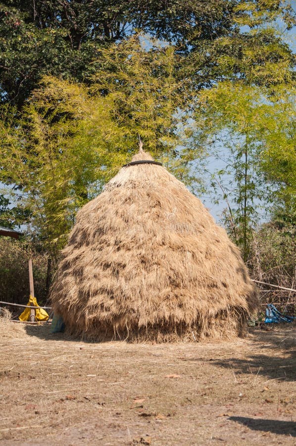 Straw stock image. Image of decoration, agriculture, yellow - 48704501