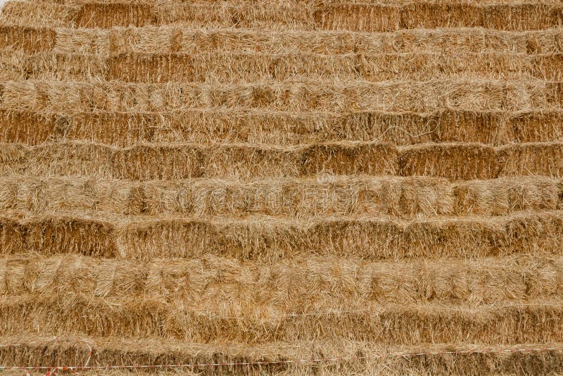 Straw, Dry Straw Texture Background, Vintage Style for Design Stock ...
