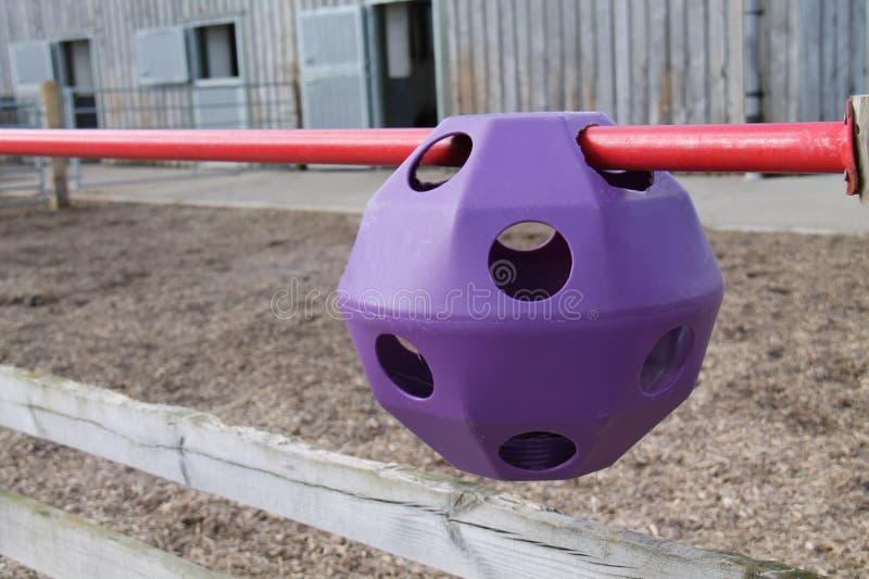 Straw Feeder Ball. stock photo. Image of ball, stable - 322071992
