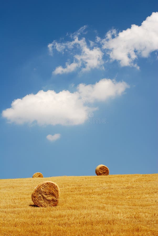 Straw field stock photo. Image of meadow, details, bale - 15762650