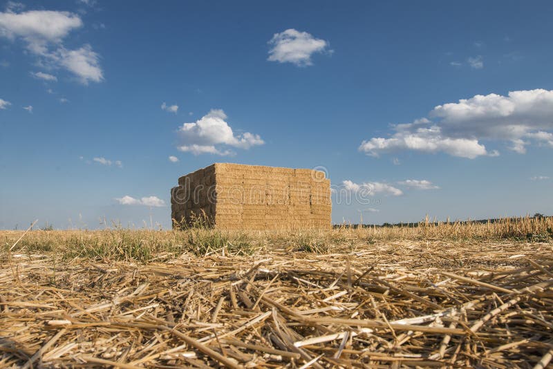 Straw field with stack stock photo. Image of farmland - 103842808