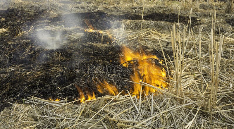 Dry straw fire stock image. Image of expansion, huge - 27173659