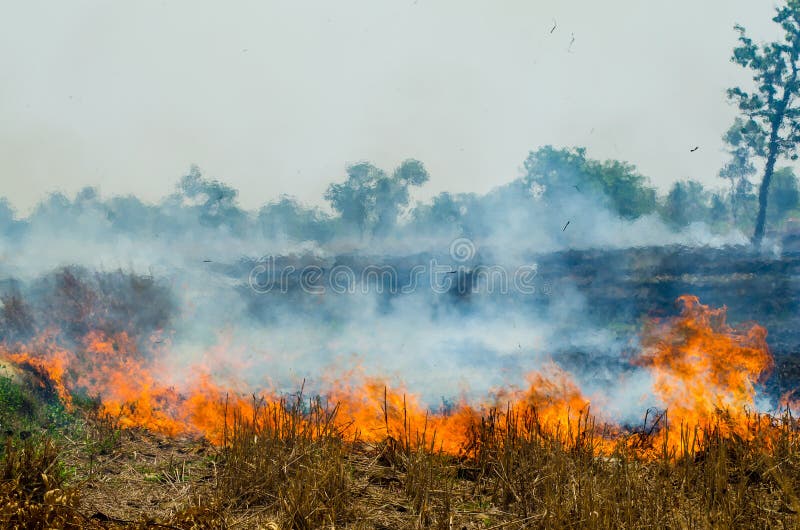 Straw fire stock photo. Image of landscape, outdoor, orange - 52451890