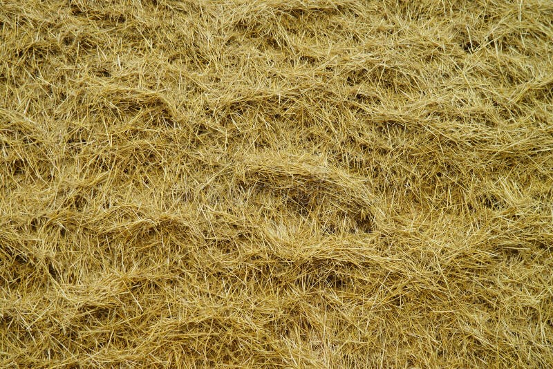 Straw grain field stock image. Image of nature, landscape - 57285899