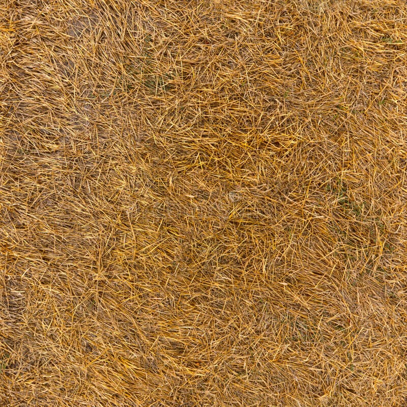 3,233 Straw Seamless Texture Stock Photos - Free & Royalty-Free Stock ...
