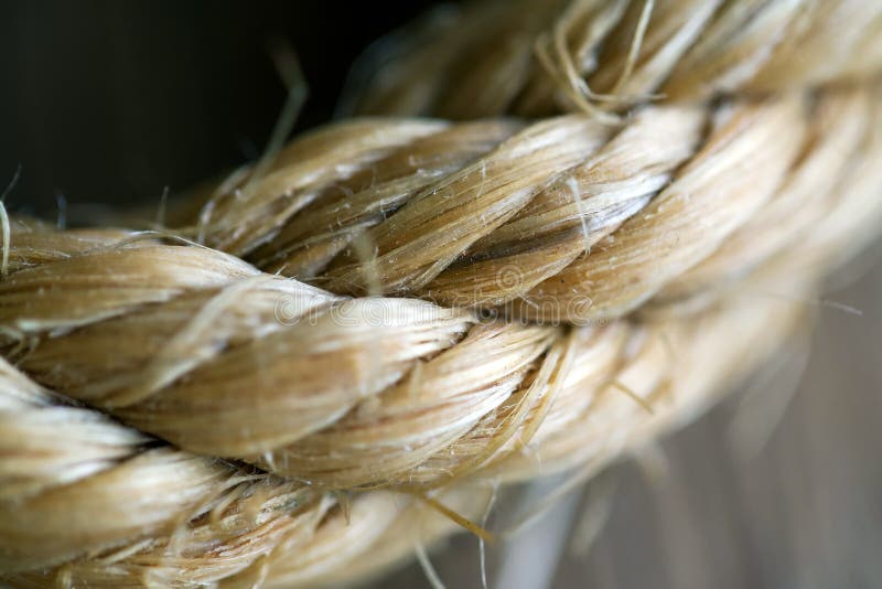 Straw handle stock photo. Image of curve, background - 26030554