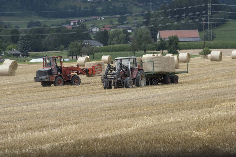 Straw harvest on the field stock image. Image of plant - 211234467