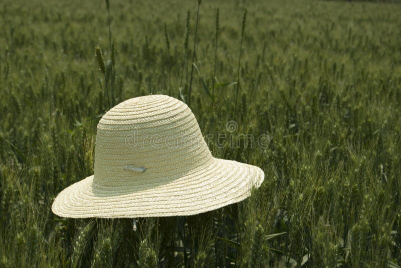 Straw hat stock photo. Image of natural, straw, field - 32486088