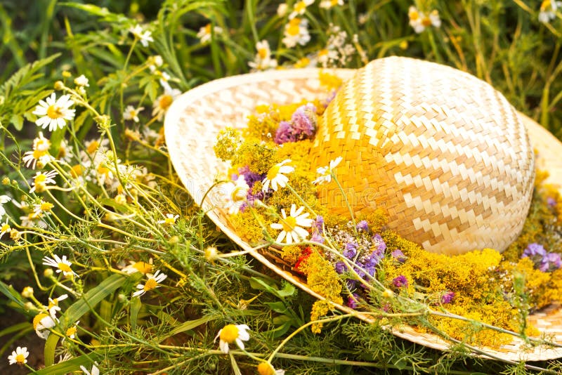 Straw hat with flowers stock image. Image of flower, wildflower - 32678441