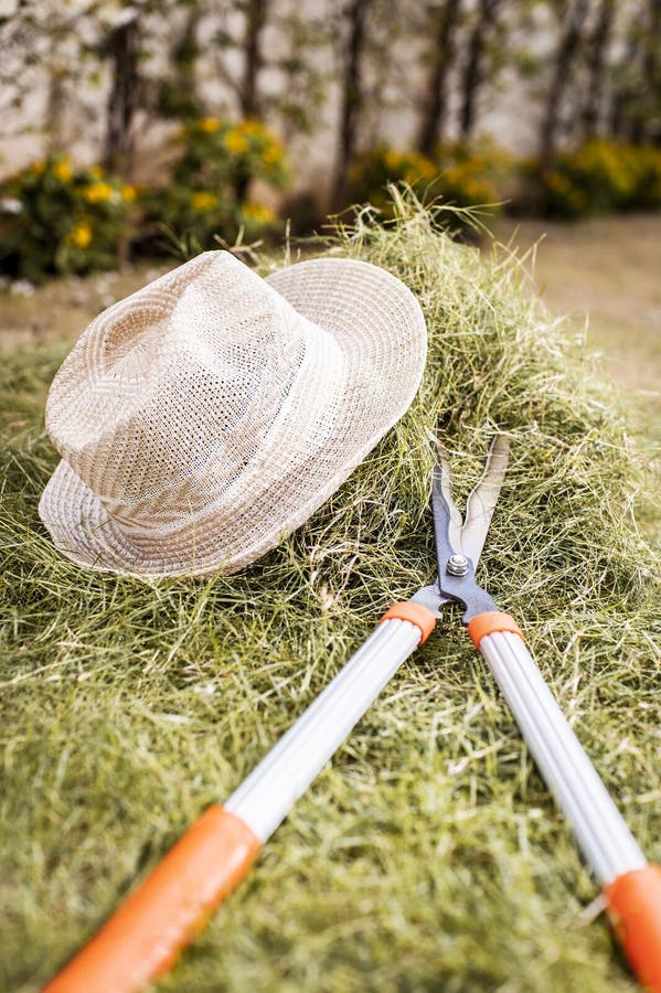 Straw hat on the hay stock photo. Image of country, nature - 31378114