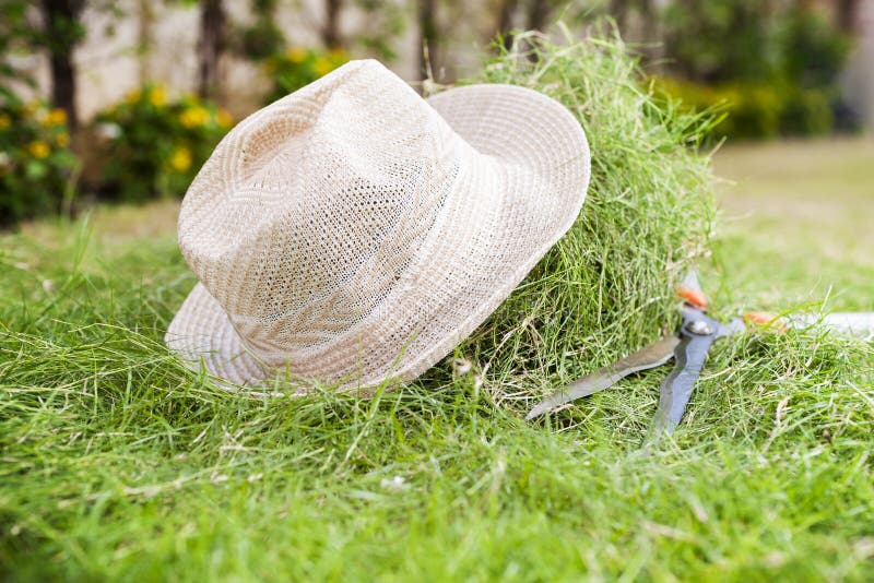 Straw hat on the hay stock photo. Image of countryside - 31378134