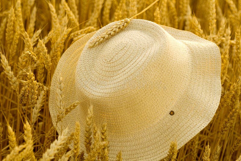 Straw Hat in wheat field stock photo. Image of bread - 38643614