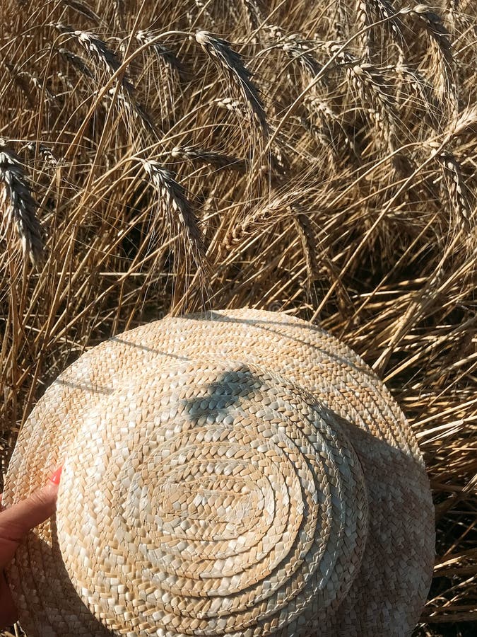 Straw Hat in a Wheat Field in the Sun Stock Image - Image of outdoor ...