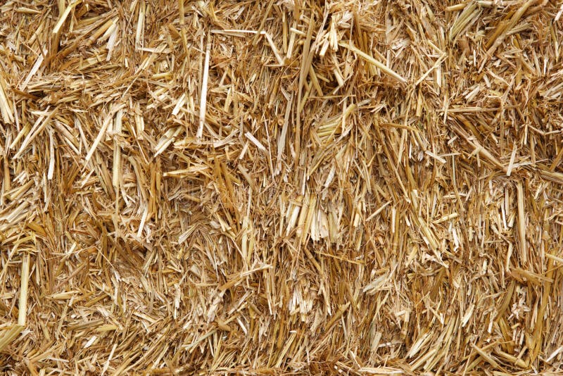 Straw Hay Background Texture Stock Image - Image of nature, field: 10869021