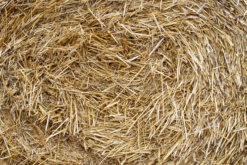 Straw / Hay Bale Background / Texture / Pattern / Wallpaper Stock Photo ...