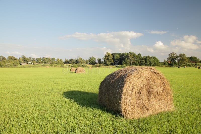 Straw hay bales stock photo. Image of landscape, pasture - 10526022